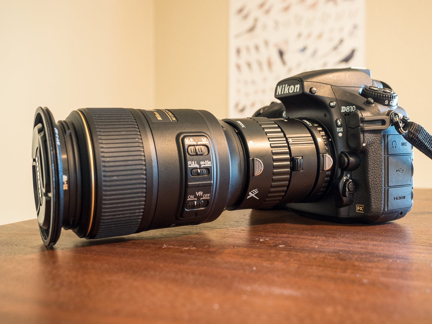 How To Get Super Magnification For Insect Macro Photography