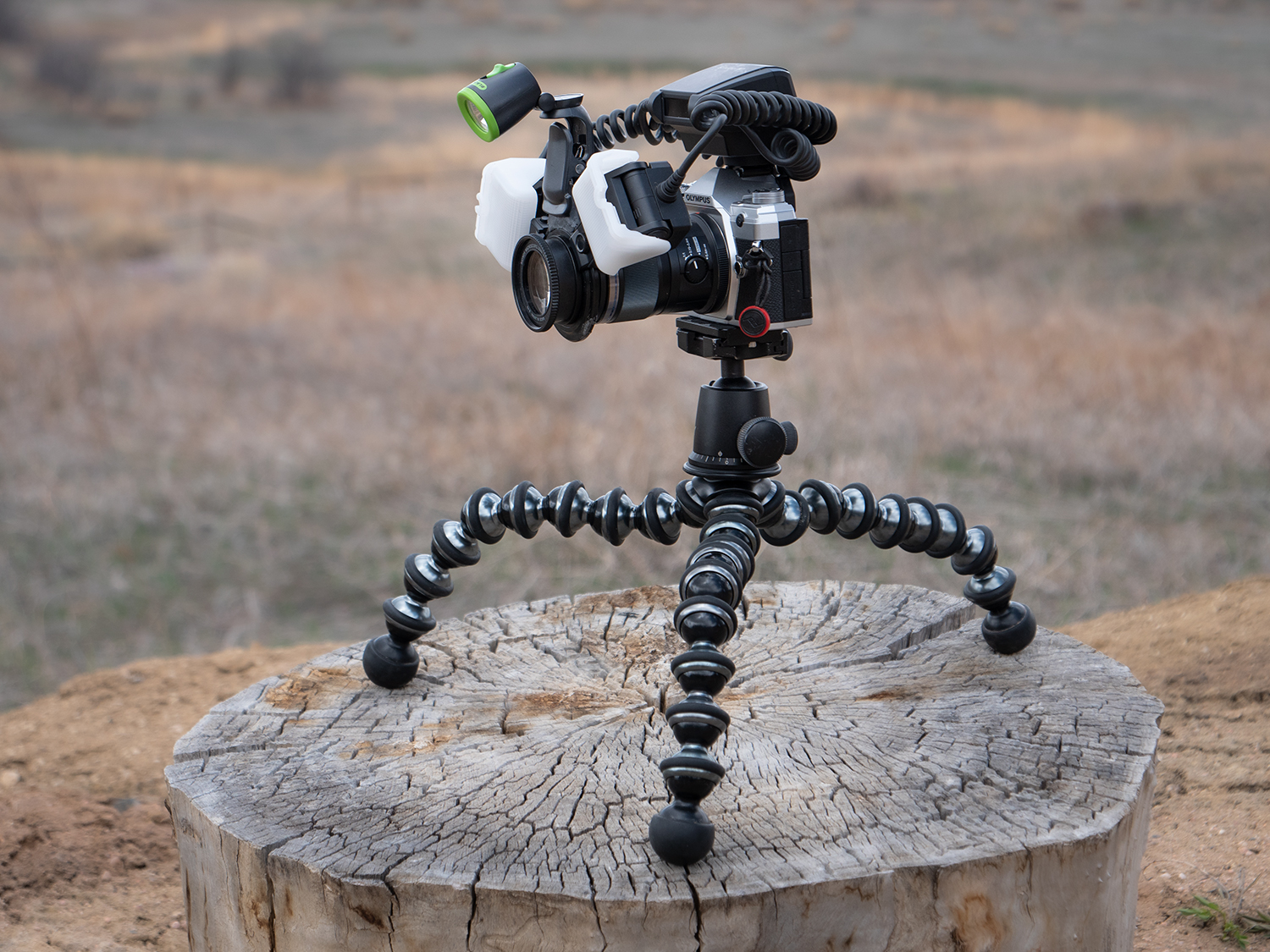 What Is The Best Camera For Macro Photography 